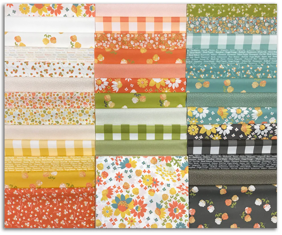 Cozy Up by Corey Yoder of Coriander Quilts for Moda – Bella Rose Quilts