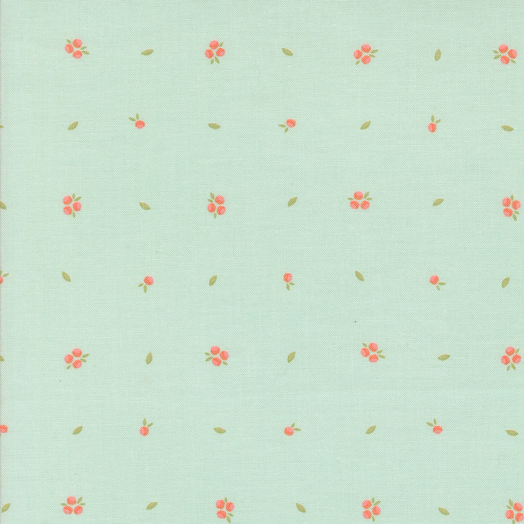 Abloom by Corey Yoder of Coriander Quilts for Moda Fabrics - Robins Eg ...